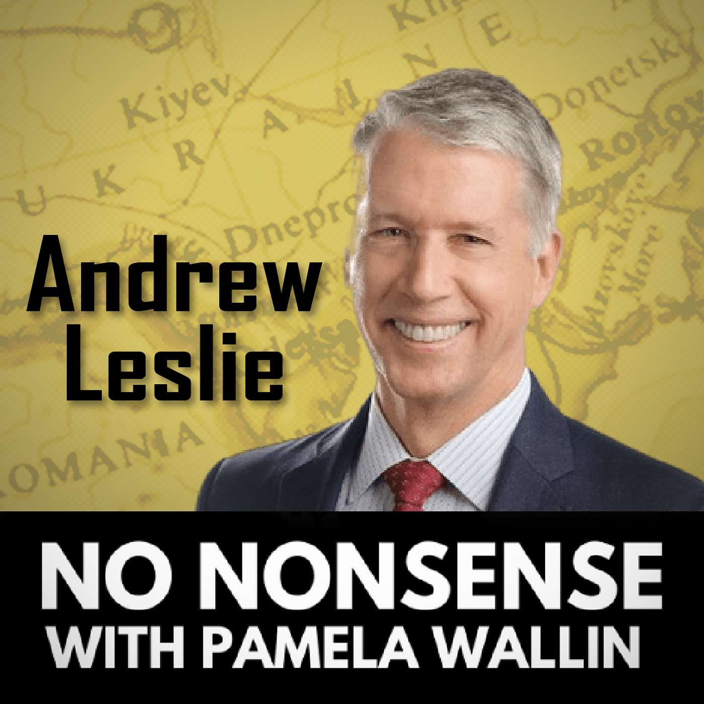 The State of Canadian Defence with Andrew Leslie - Pamela Wallin